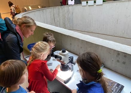 Tools, knowledge, and weapons in the Stone Age | Neanderthal Museum